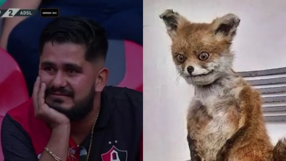 Atlas podría ser el peor campeón defensor en torneos cortos y los MEMES ...