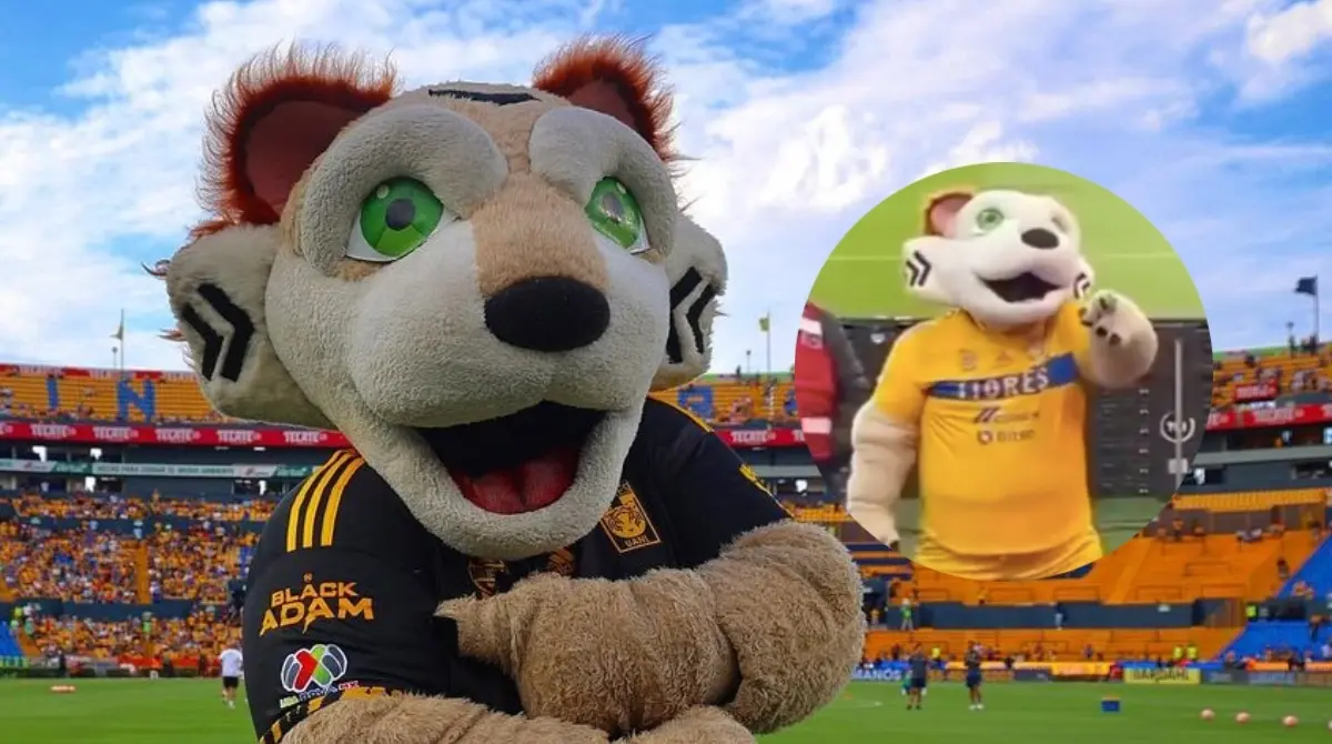 Tigres lamenta gestos de su botarga contra afición de Rayados; ¿qué ...