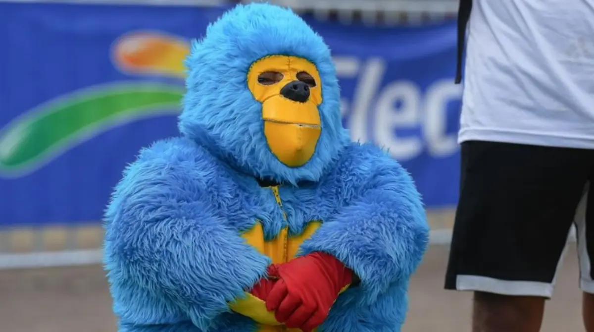 La aparatosa caída de Kemonito en plena función arriba del ring (VIDEO ...